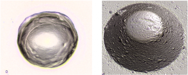 Confocal Microscope - Global Lighting Technologies, Inc.